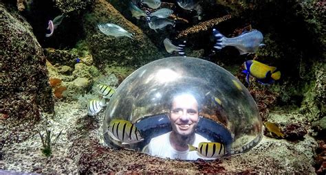 Виена голямото Русе Backpack Nerd