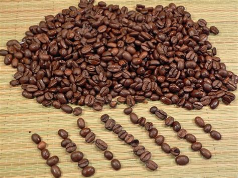 Bean Counter Images Browse 534 Stock Photos Vectors And Video Adobe Stock