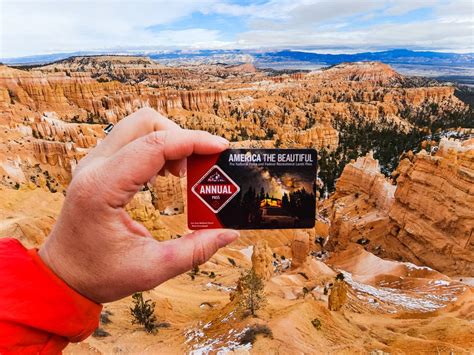 Annual National Park Pass 2025 Natalie Carter