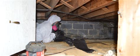 Prevent Crawl Space Mold South Jersey Moisture Control And Mold Prevention