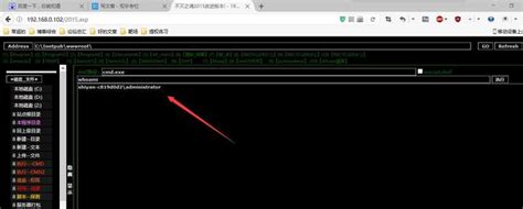 提权篇之简单介绍和exp利用过程 ZM思 博客园