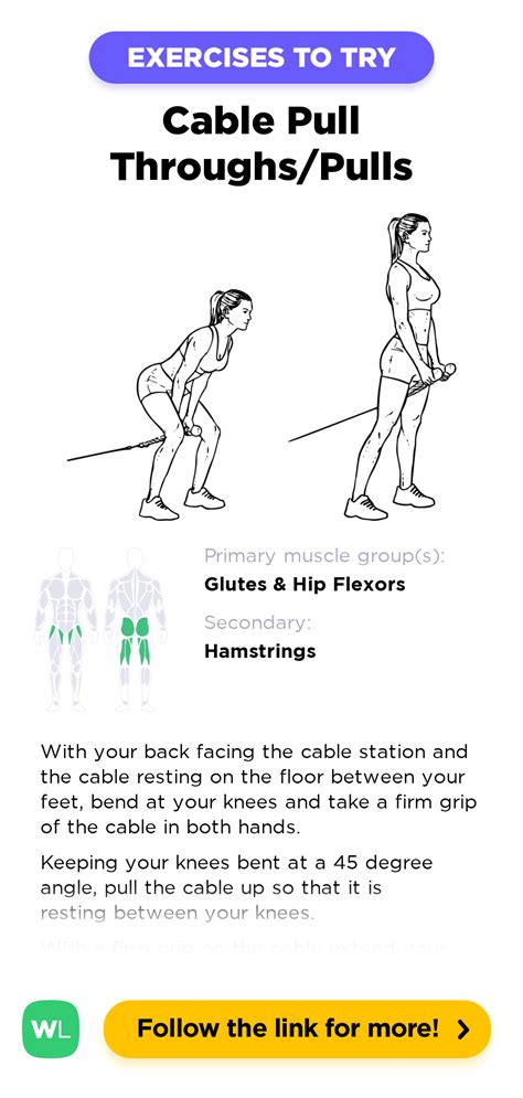 Cable Pull Throughs Pulls Workoutlabs Exercise Guide