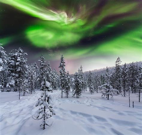 98 000 Finland Nature Pictures