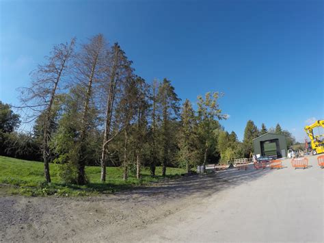 Green Matters • Alvan Blanch 2025