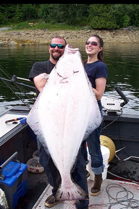 Ketchikan Alaska Salmon Fishing And Halibut Fishing Charters