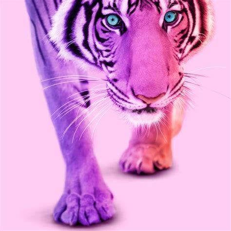 Paul Fuentes Explore Meurals Permanent Art Collection Digital Work