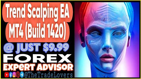 Trend Scalping EA V1 2 MT4 Works On Build 1420 Forex Robot MT4 Expert Advisor