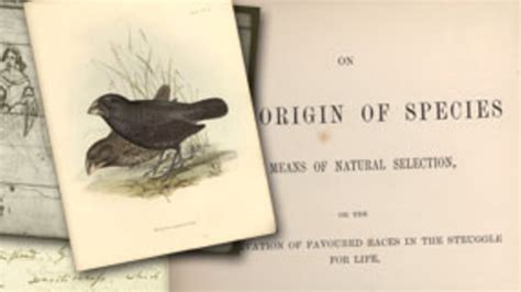 Darwins Evolutionstheorie Komplett Im Web Oe24 At
