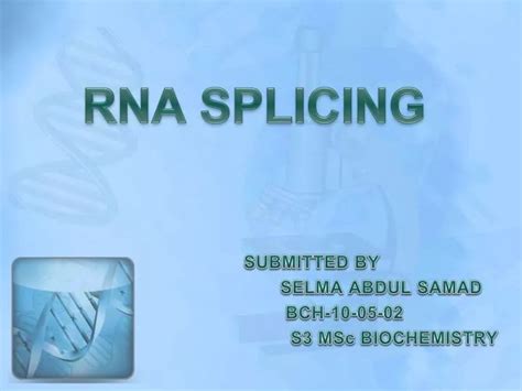 PPT RNA SPLICING PowerPoint Presentation Free Download ID
