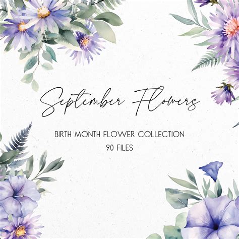 September Birth Flowers Clip Art Birth Month Flowers Clip Art