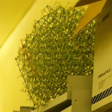 Retinags Scalable Training For Dense Scene Rendering With Billion