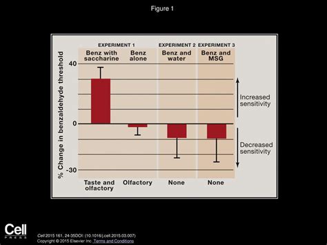 Multisensory Flavor Perception Ppt Download