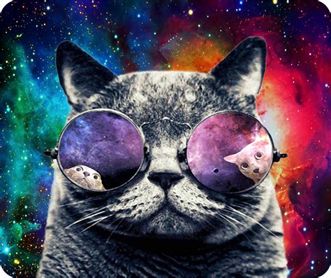 Space Cat With Galaxy Glasses