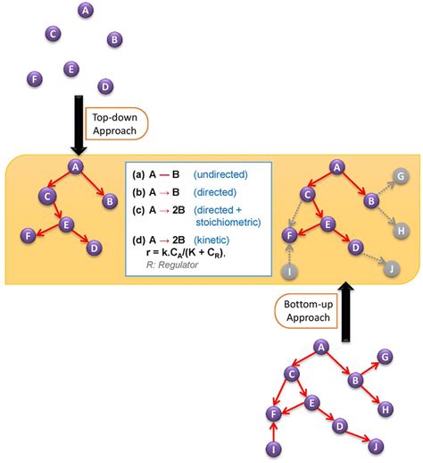 comparative demonstration of bottom up and top down approaches to download scientific diagram