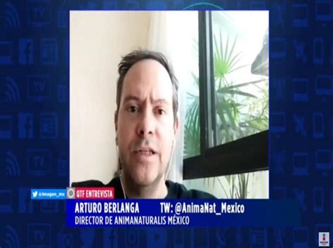 Caso Huellitas Adoptó A Un Perro Sólo Para Matarlo Imagen Radio 905