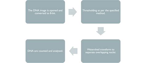Chapter 3 Imagej Script Walkthrough Comarker The Manual