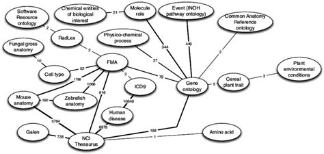Ontologies In Bioportal And Mappings Between Them The Diagram Shows Download Scientific
