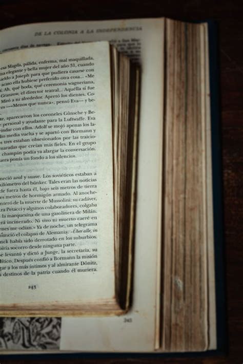 가시 고전 문학 공부하다 교육 교육 도구 글꼴 남아메리카 단어 대본 도서관 독서하는 라틴어 스크립트 메리다 문서 문학 베네수엘라 빈티지 책