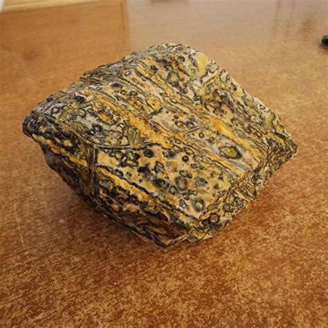 Random Pull Mexican Leopard Skin Rhyolite Rough Etsy