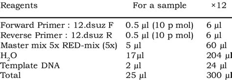 Pcr Reaction Mixture Composition Download Scientific Diagram