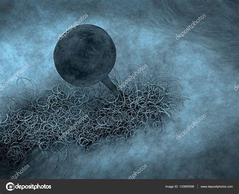 Fungus Under Microscope Stock Photo By Ugreen 133895596
