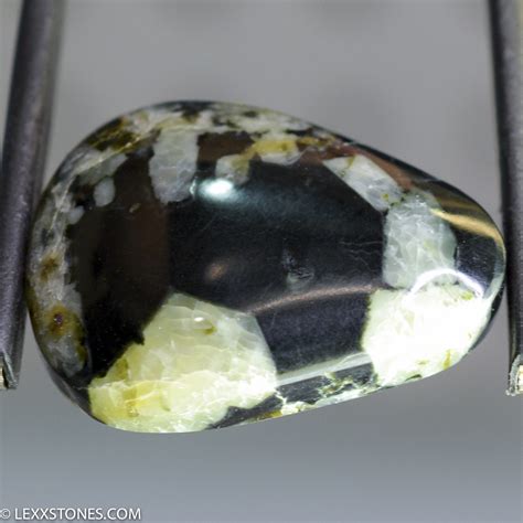 Edwards Black Wyoming Nephrite Jade Lexx Stones Lexx Stones
