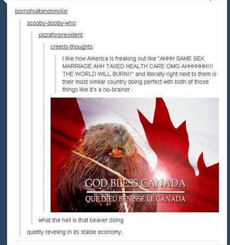 Oh Canada Tumblr Know Your Meme