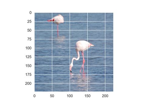 Using Pretrained Cnn Models