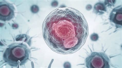 A Close Up Illustration Of Cells With Intricate Internal Structures