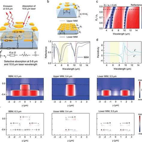 Analysis Of Structural Color In The Bbm A Schematic Of Structural Download Scientific Diagram