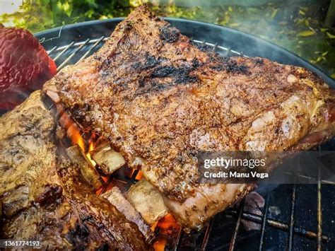Small Barbecue Grill Photos And Premium High Res Pictures Getty Images