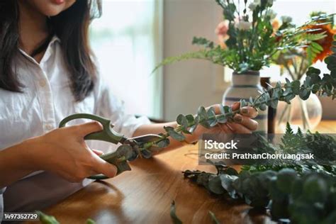 꽃집의 테이블에서 분홍색 꽃다발을 준비하는 여성 플로리스트의 자른 사진 꽃집과 중소기업 개념 25 29세에 대한 스톡 사진 및 기타 이미지 Istock