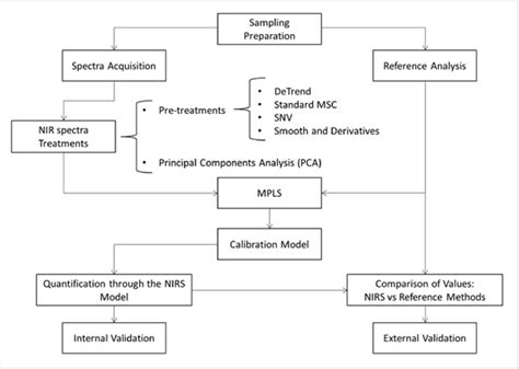 Schematic Representation Of The Steps Followed For Quantitative Download Scientific Diagram