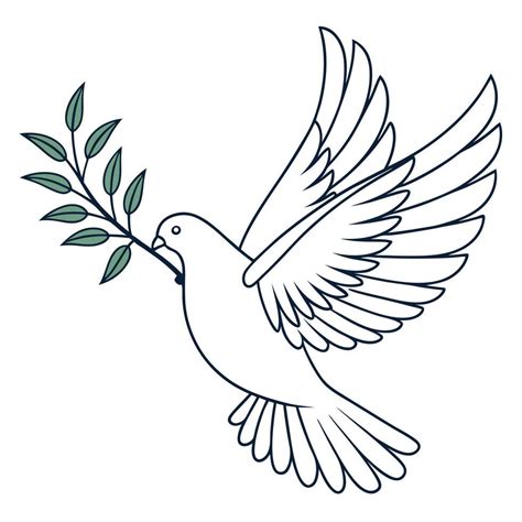 Dove Bird Carrying Olive