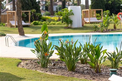 Sobre Nosotros Jaydo