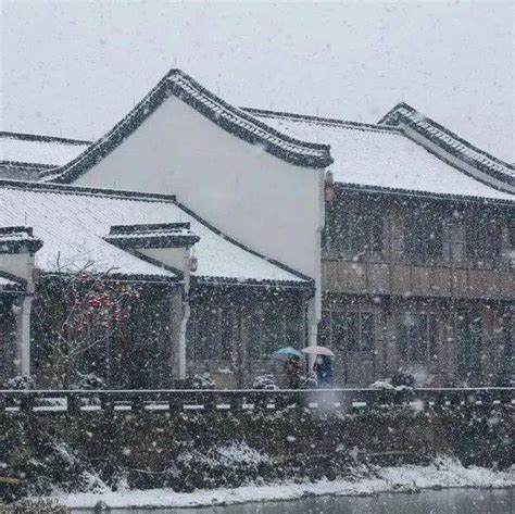 又又又下雪了！未来科技城的雪景有多美，不允许你不知道！雨夹雪天气气温