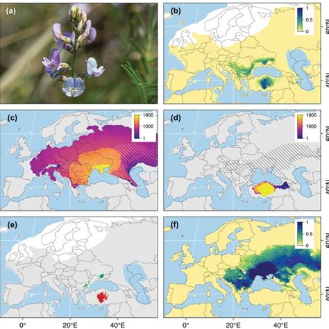 illustration of migration simulations and lgm source area download