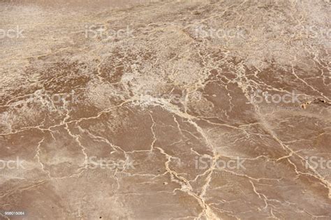 환경의 가뭄 소금은 지구를 통해 보여줍니다 불모의 갈색과 베이지색 지구입니다 건조 금이 지구 배경입니다 금이 진흙 패턴입니다 토양에 균열 Creviced 텍스처입니다 가뭄