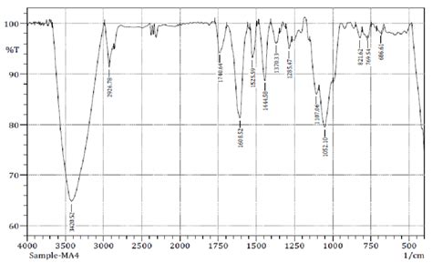 Ft Ir Spectrum Of Methanolic Extract Of Blechnum Orientale L Download Scientific Diagram