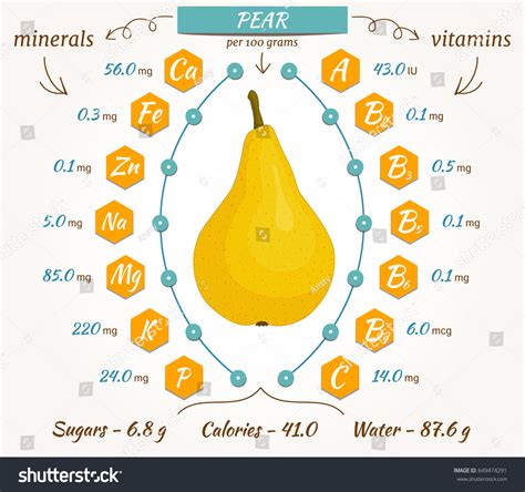 Pear Infographics Nutrition Facts Calories Analysis Stock Vector