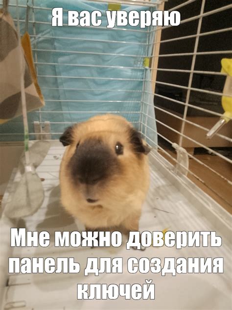 Мем Я вас уверяю Мне можно доверить панель для создания ключей Все шаблоны Meme