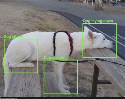 When You Code Ai On Top Of Legacy Dependencies Programmerhumor Io