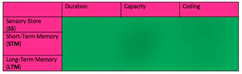 Topic 5 Memory Multi Store Model 2 Diagram Quizlet
