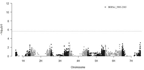 Manhattan Plot Showing The Results Of The Genome Wide Association Scan