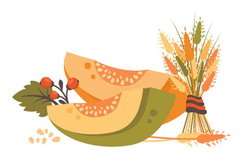 가을 나뭇잎 밀 열매와 호박 조각입니다 잘 익은 수확 야채입니다 건강에 좋은 음식 가을 디자인 좋은 영양 농업 수확 추수 감사절에 대한 벡터 그림 10월에 대한 스톡 벡터