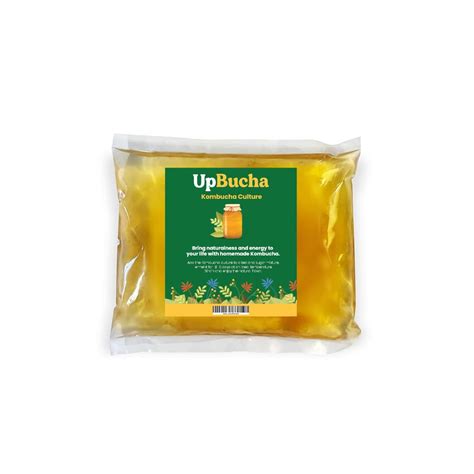 Scoby Kombucha Culture Starter Up Bucha