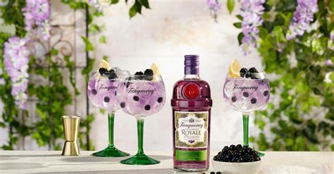 Tanqueray Imagine Un Gin Au Cassis Et On Rêve De Cocktails Fruités