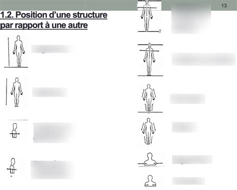 Position Dune Structure Par Rapport À Une Autre Diagram Quizlet