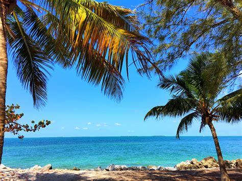 Key Westfloridabeachoceanwater Free Image From