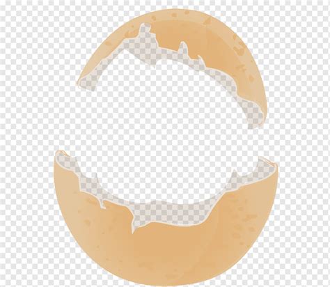 닭고기 달걀 달걀 껍질 깨진 달걀 껍질 음식 치킨 색깔 Png Pngwing